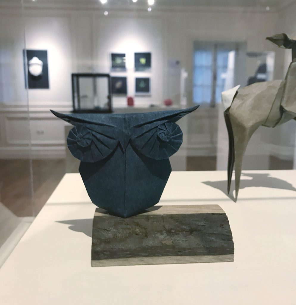 Lotusland in Origami: Flora, Fauna and Ganna - Kusudama Me - Origami Blog